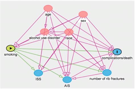Directed Acyclic Graph For Smoking Minimal Sufficient Adjustment Sets Download Scientific
