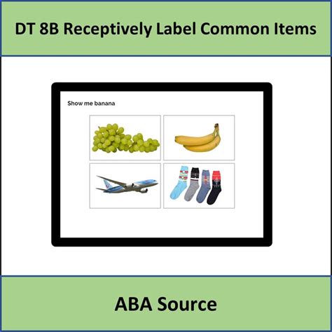 Peak Dt 8b Receptively Label Common Items Set 2 50pts Labels