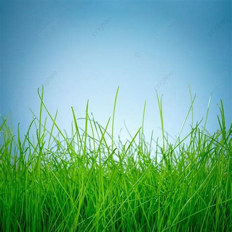 파란색 배경에 봄 녹색 잔디 및 무료 다운로드를위한 그림 Pngtree