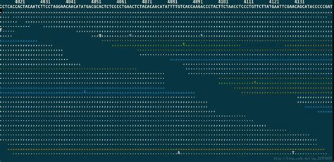 samtools 学习记录 samtools stats csdn博客