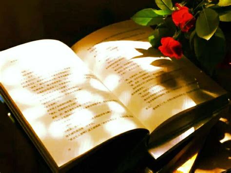 应该怎样读书，才能真正做到高效阅读呢？ 知乎