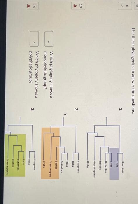 Solved Use These Phylogenies To Answer The Questions 1