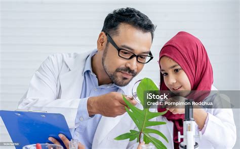 잘생긴 선생님 히잡을 쓴 어린 소녀 머리 스카프 흰색 그라운드 유니폼 가르치기 학교 교실에서 과학 공부 미소 식물 연구 실험을