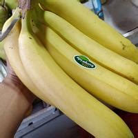 Jual Pisang Sunpride Terdekat Harga Murah And Grosir Juni 2024