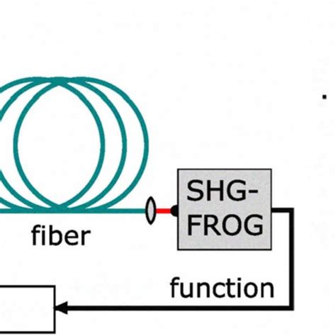 A Experimental Setup A Programmable Spatial Light Modulator Slm Is Download Scientific