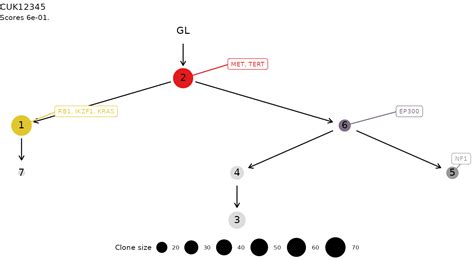ctree ctree