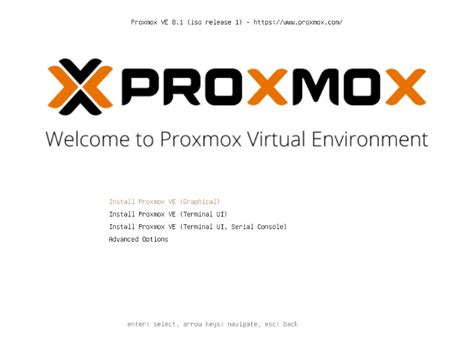 Installing Proxmox Virtual Environment With Zfs Mirrored Disks Ithowtoocom