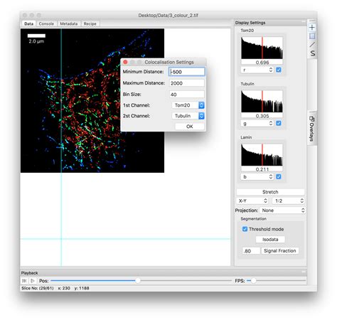 Distance Transform Colocalization Howto — Pyme 230615post0dev Documentation