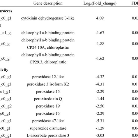Kegg Pathway Enrichment Analysis Of Degs In Shoots Of A Adsurgens In