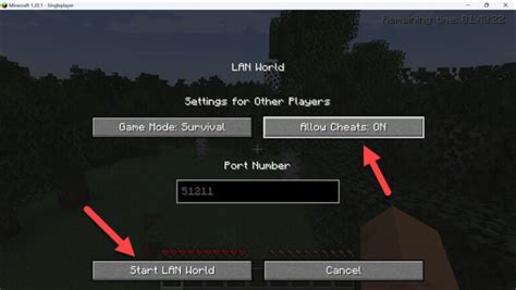 How To Change Tick Speed In Minecraft