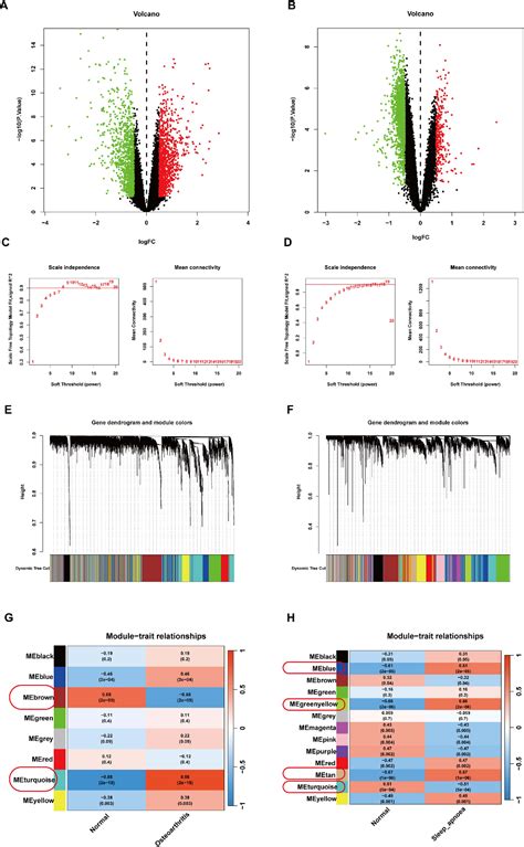 Figure 2 From Association Between Sleep Apnea Syndrome And Osteoarthritis Insights From
