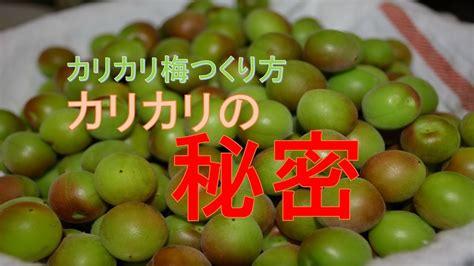 【カリカリ梅】カリカリ梅の作り方 Youtube