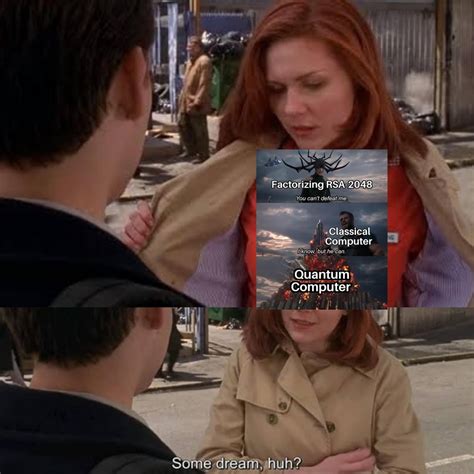 Shor Algorithm Rquantummemeology