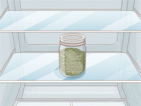 Easy Ways To Harvest Catnip 11 Steps With Pictures Wikihow