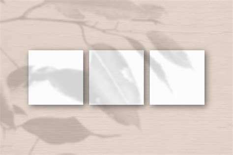 복숭아 벽 배경에 흰색 질감 종이 3 평방 시트 식물 그림자가 있는 모형 오버레이 자연광은 이국적인 식물에서 그림자를 투사합니다 플랫 레이 상단 보기 0명에 대한 스톡 벡터