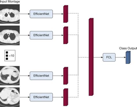 Predicting Usual Interstitial Pneumonia Histopathology From Chest Ct Imaging With Deep Learning