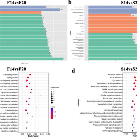 Functional Enrichment Analysis For Host Genes Of The Differentially
