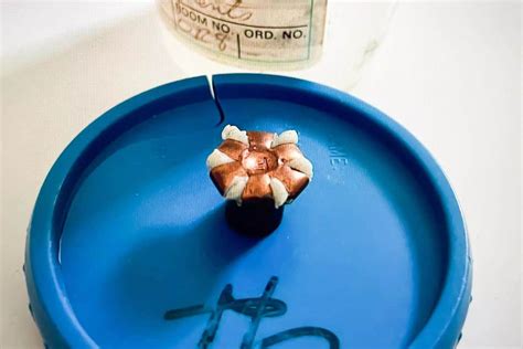 Impact Expansion Bullets The Better “hollow Point” Guns And Ammo Impact Expansion Bullets The Better “hollow Point” Guns And Ammo