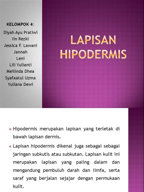 Lapisan Hipodermis Pdf