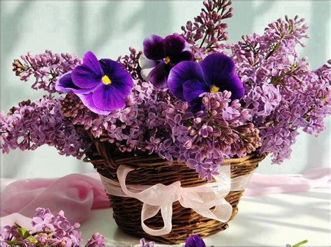 Честит рожден ден Гео граф Форум