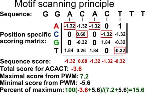 96 Peak Calling Computational Genomics With R