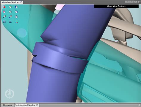 Muscle Path Renders With Visible Tears · Issue 889 · Opensim Orgopensim Gui · Github