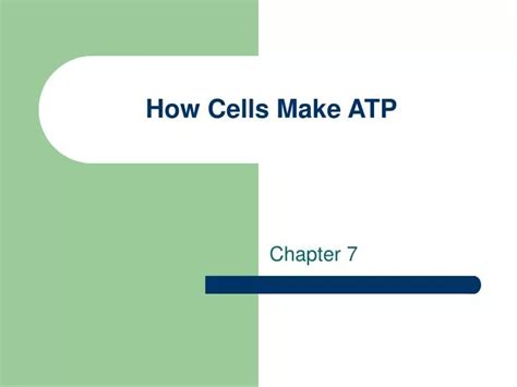 PPT How Cells Make ATP PowerPoint Presentation Free Download ID 5315408