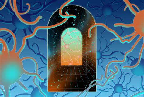 Autisms Genetic Heterogeneity Evident In Brain Connectivity Patterns The Transmitter