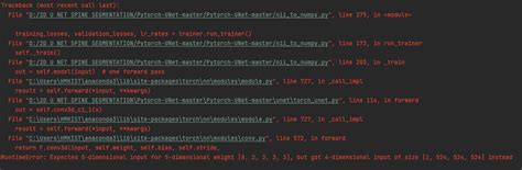 Input And Target Shape · Issue 9 · Johschmidt42pytorch 2d 3d Unet Tutorial · Github