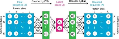 Enzyme Design Meets Machine Learning U M Lsa Biophysics