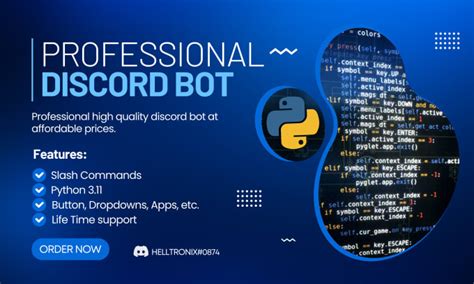 Make You A Discord Bot By Adnandzns Fiverr