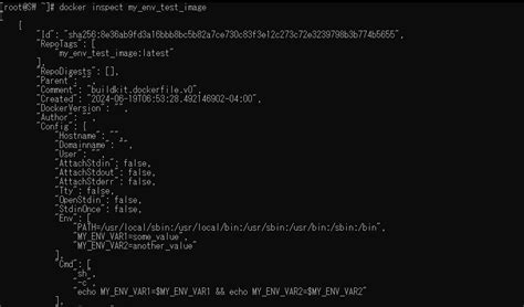 How To Set Docker File Environment Variables