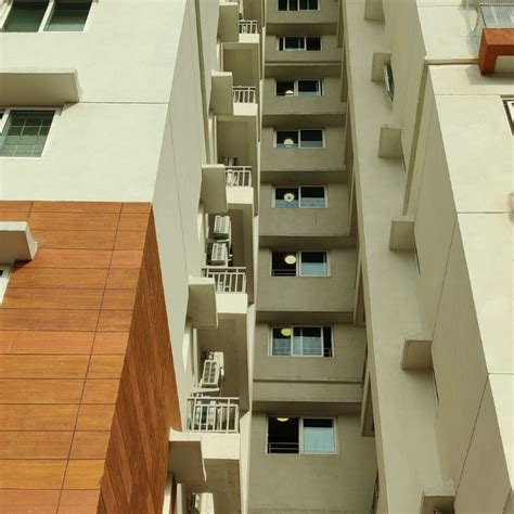 5 Steps To Eliminate Cockroach Infestations With Spotlessgo