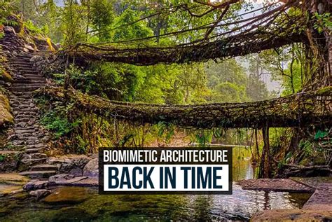 Biomimetic Architecture Back In Time Rtf Rethinking The Future