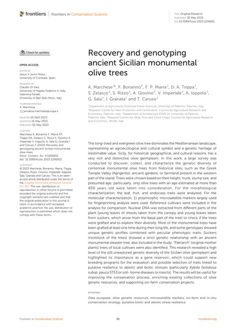Pdf Recovery And Genotyping Ancient Sicilian Monumental Olive Trees