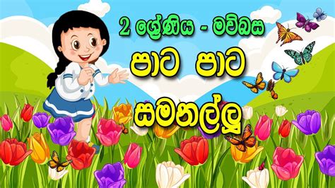 2 ශ්‍රේණිය මව්බස පාට පාට සමනල්ලු Youtube