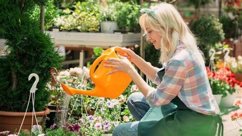 Работы в саду в июле 2025 какие проводить что делать в огороде и цветнике в июле календарь