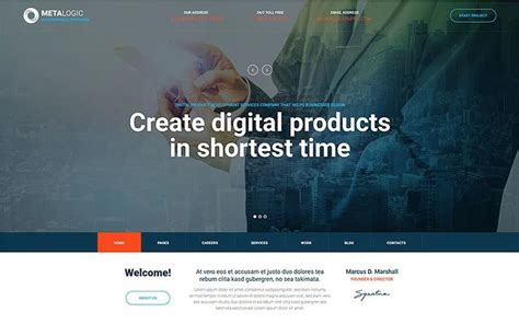 Metalogic Software Development Wordpress Theme Software Development Wordpress Theme Wordpress