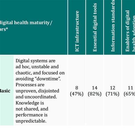 Examples Of Ict Infrastructure Components Required For Digital Health
