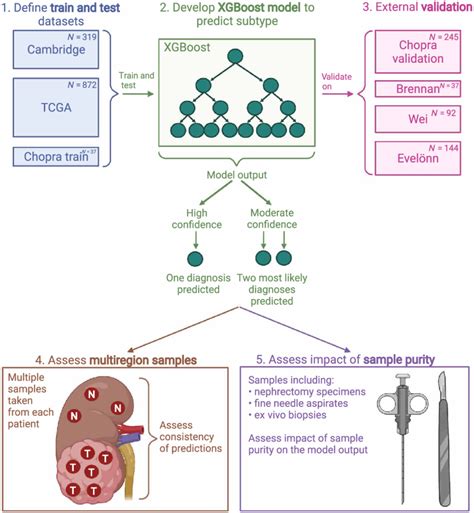 Overview Of Methylbooster Three Dna Methylation Datasets Are Used To Download Scientific
