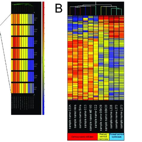 Gene Tree Clustering Analysis A Gene Tree Clustering Analysis For