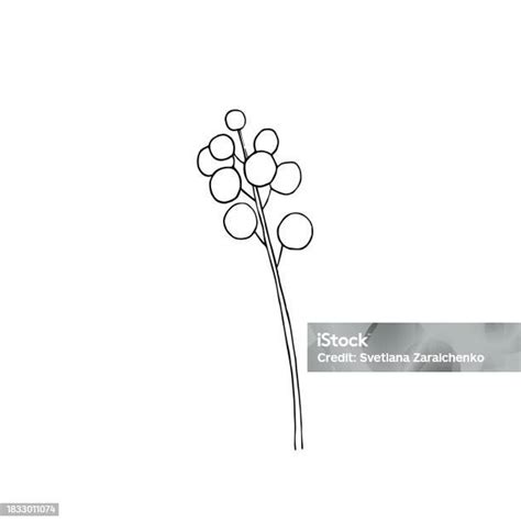 열매로 가지 윤곽선 그리기 손으로 그린 벡터 그림입니다 디자인 요소 착색 카드 인쇄물 포장 초대장 명함 광고 0명에 대한 스톡