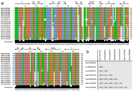 a multiple sequence alignment of the d3 lsu 28s rdna sequences the