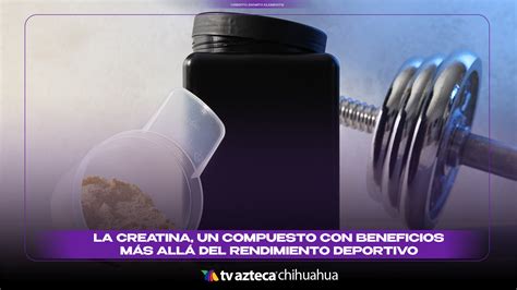 La Creatina Qué Es Cuáles Son Sus Beneficios Y Cuándo Se Recomienda