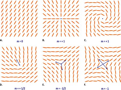 Examples Of Disclinations Topological Singularities Depending On The