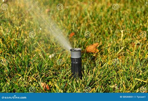 Grass Sprinkler Stock Image Image Of Season Sprinkler 50544051