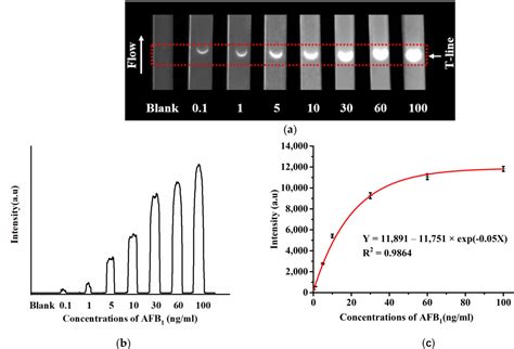 Figure 2 From Development Of A Lateral Flow Strip With A Positive