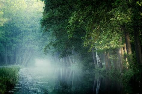 배경 화면 강 자연 나무 옥외 2048x1365 Wallpapermaniac 1853977 배경 화면 Wallhere