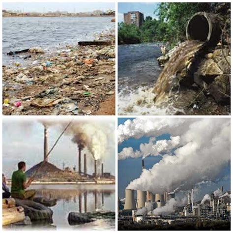 La Contaminacion Ambiental Contaminacion Del Ambiente Tipos Causas Y