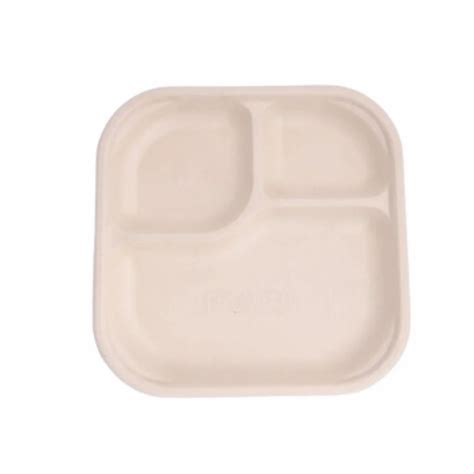 Bagasse 3 Compartment Tray Rectangle 10 Inch At ₹ 430piece In Bidhan Nagar Id 2853729389955